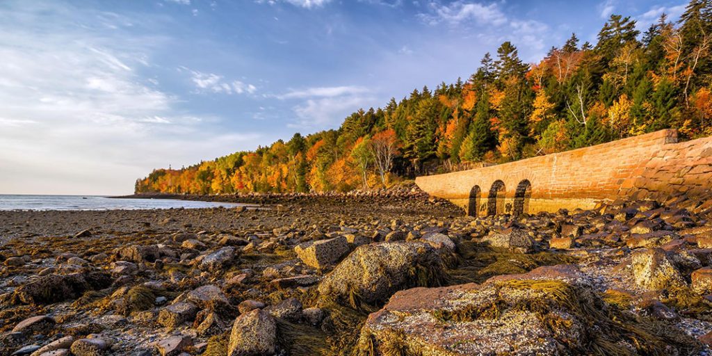 The Ultimate Guide To Acadia National Park: Everything You Need To Know ...