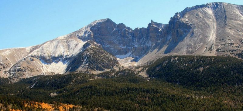 Great Basin National Park Guide » Explore Bold